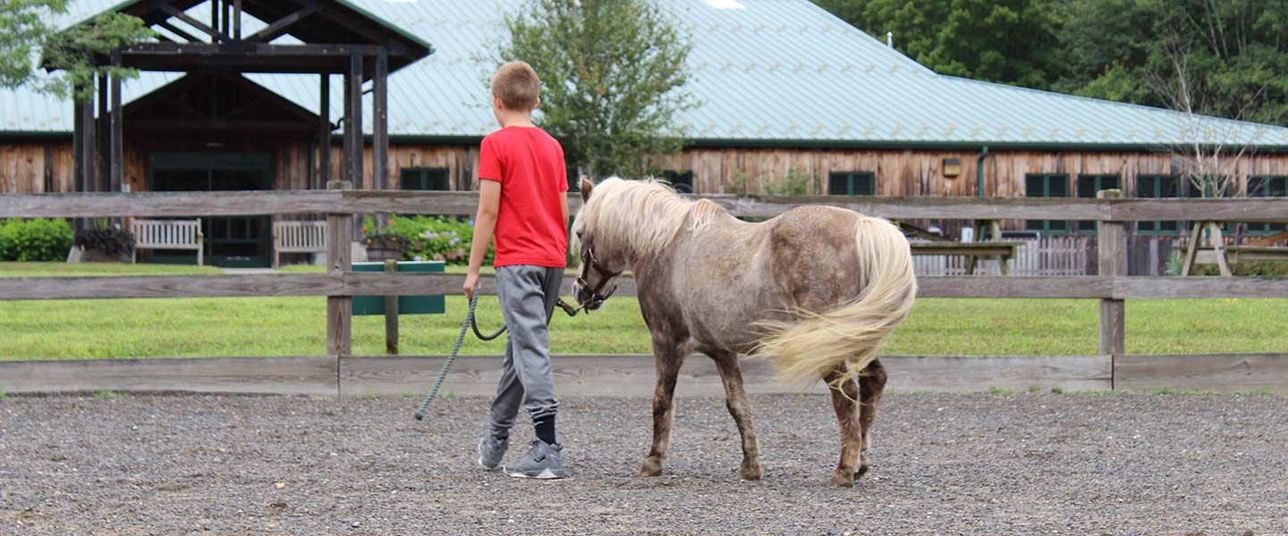 Home - High Hopes Therapeutic Riding
