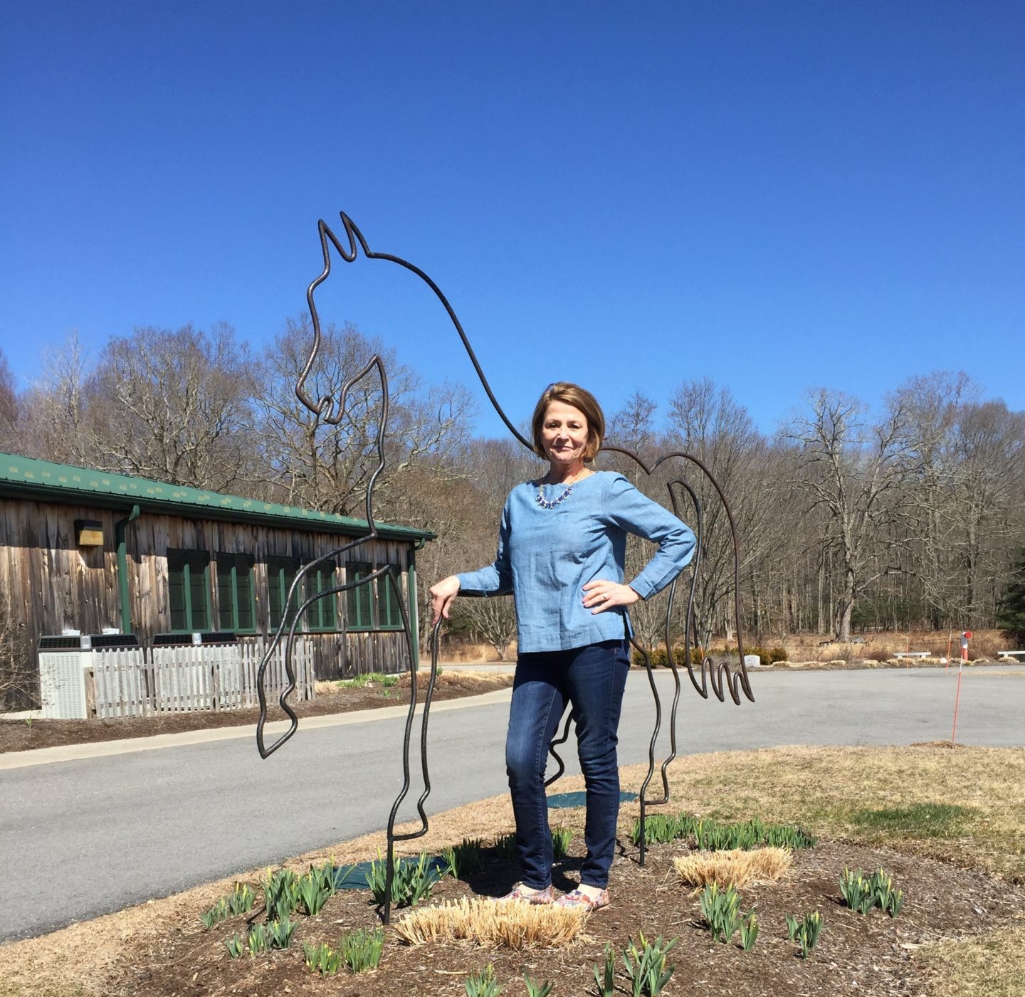 Stories Archive - High Hopes Therapeutic Riding